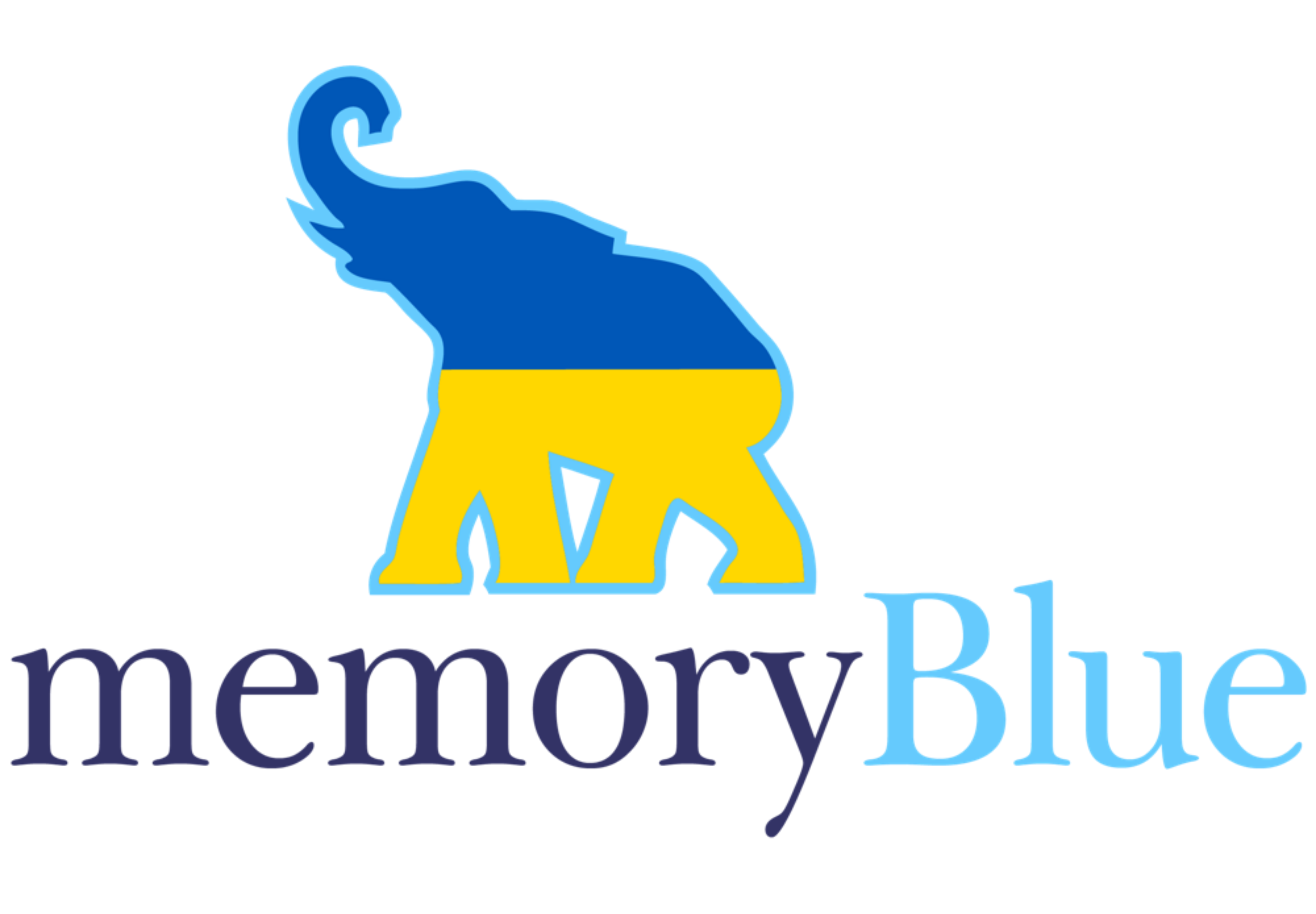 About memoryBlue | How We Create Results You Can Trust