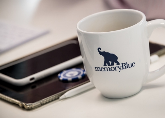 memoryBlue Insights 1/8/2023 - memoryBlue